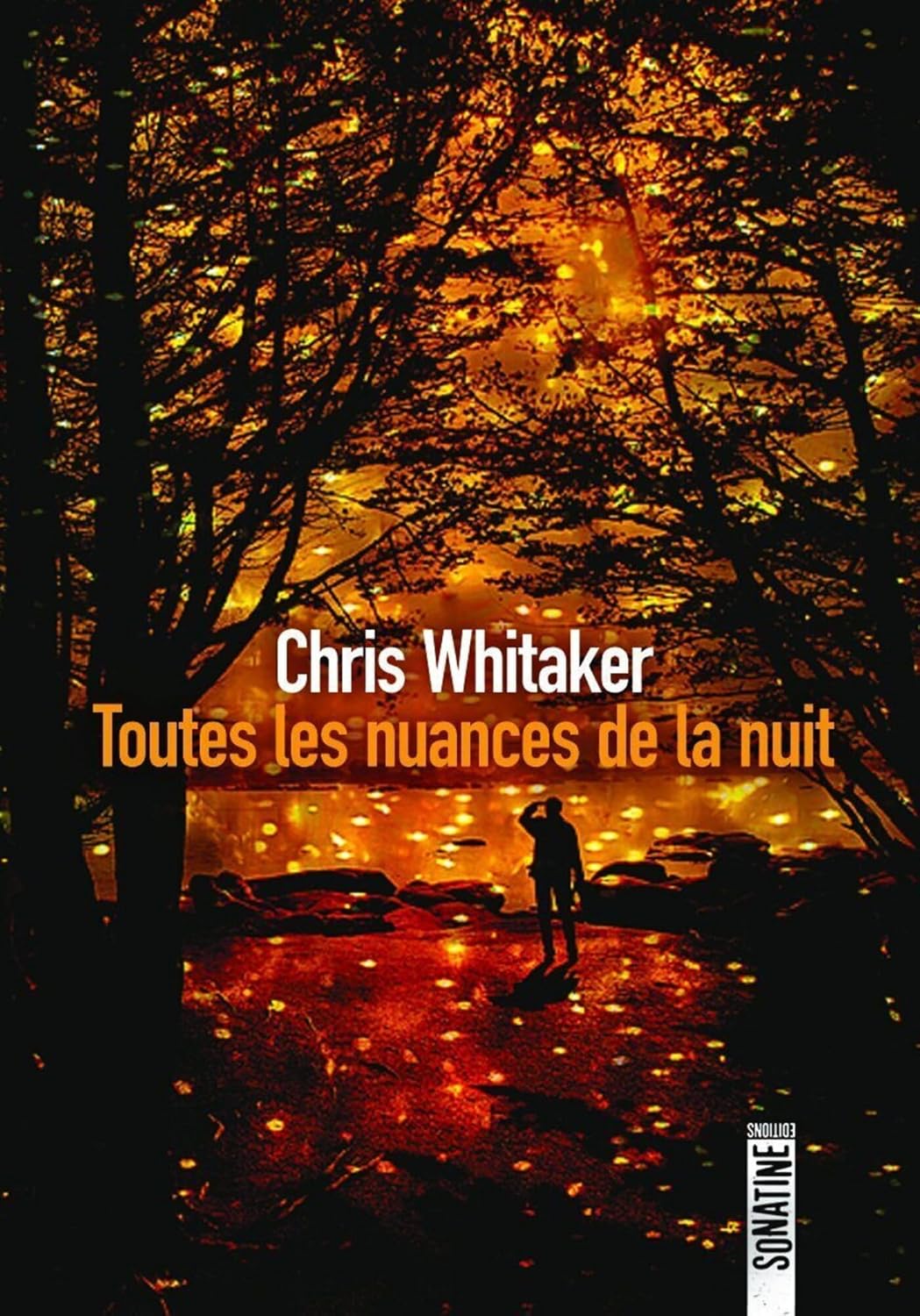 Toutes les nuances de la nuit - Chris Whitaker - EmOtionS, blog littéraire